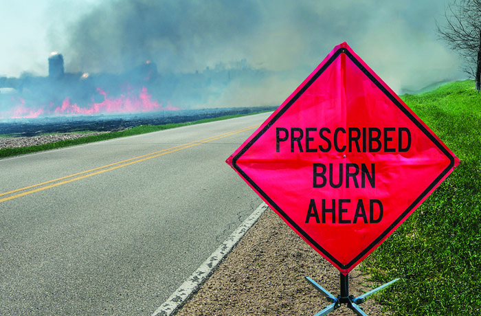 How to Do a Controlled Burn – Mother Earth News